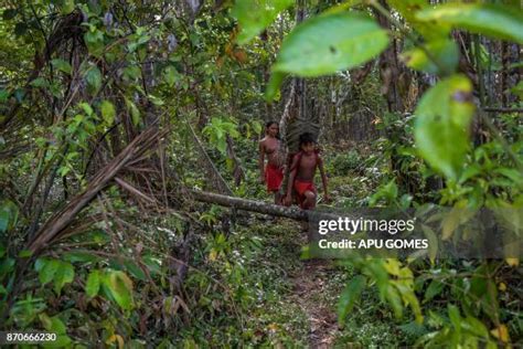 71 Waiapi Tribe Photos And High Res Pictures Getty Images