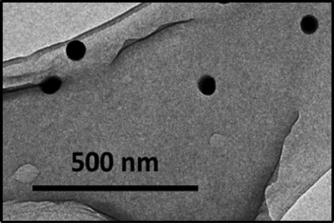 Selenium Nanoparticles 200 Mg L Analysis Through The Transmission