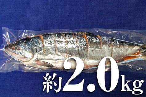 めじか新巻鮭（甘塩）｜オホーツク産｜オホーツク活魚 オホーツク活魚ネット