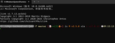 Windows终端提示和美化推荐用什么？ 开发调优 Linux Do