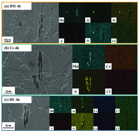 Immersion Test Results Of A Bm B Cr And C Re Steel Rebars After