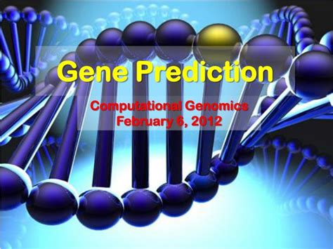 Ppt Gene Prediction Powerpoint Presentation Free Download Id3384560