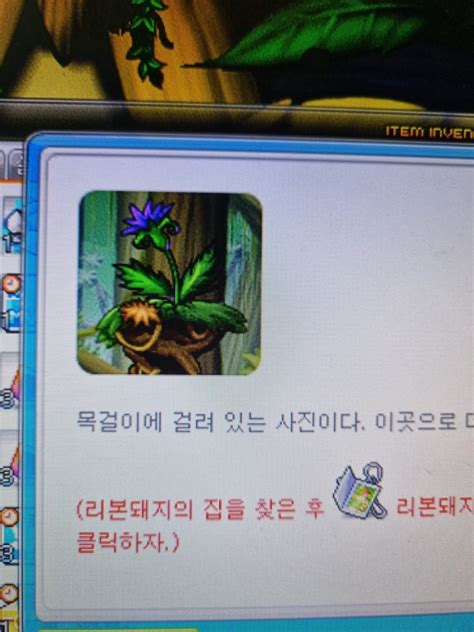 메이플 리본돼지목걸이 여긴어딜까용ㅜㅜ 지식in