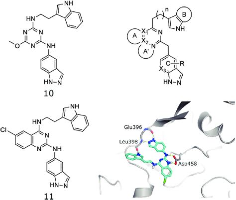 Structure And Binding Pattern Of Representative Compounds Published In