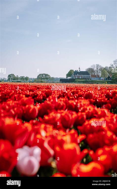 Schokland Netherlands Hi Res Stock Photography And Images Alamy