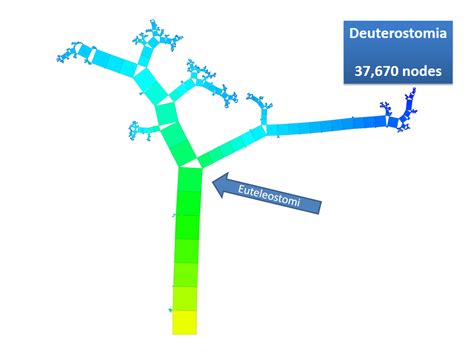 Generalized Pythagoras Trees