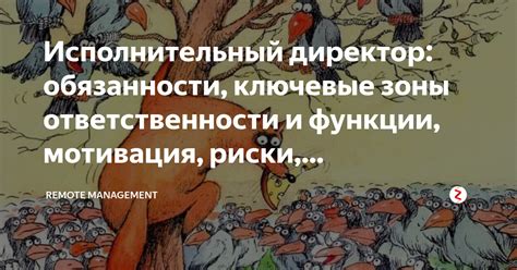 Исполнительный директор обязанности ключевые зоны ответственности и