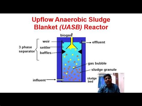 Uasb Reactor Cfd Simulation Of Anaerobic Granular Sludge Reactors A