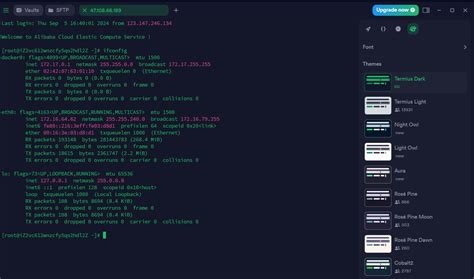 网络安全毕业实习实训day8 总结 Csdn博客