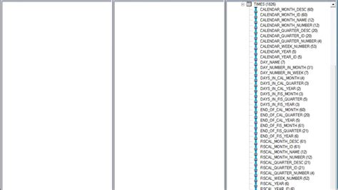 oracle bi 11g video tutorials obiee complete tutorials part 3 youtube