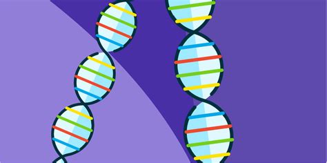 transcribe dna to rna codehs