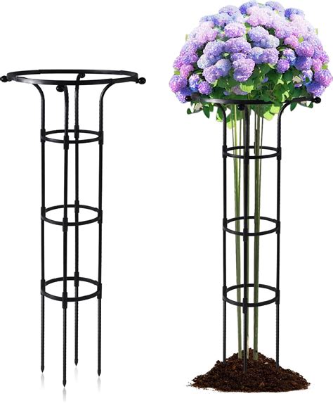 Amazon Com Garden Arch Trellis For Outdoor Plants 3 5ft Black Plant Support Supports Roses