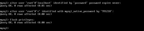 Docker拉取mysql镜像，并创建容器，使用navicat客户端连接mysql容器bingtaili的博客 Csdn博客