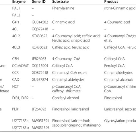 Enzymes Involved In Lignan Biosynthetic Pathway Of I Indigotica