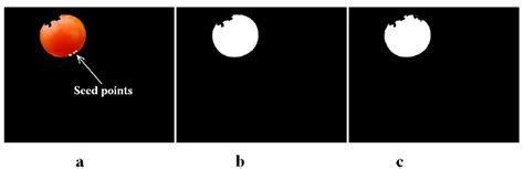 test of developed algorithm a determining the seed points b