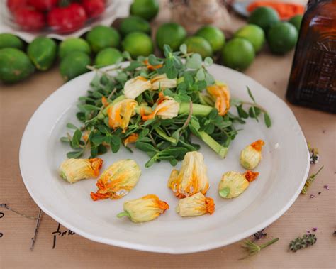 ‎ariella Azran אריאלה עזרן שפית פרטית‎ ‎שקט המתנה סלט שממתין לתיבול פרחי זוקיני וריג׳לה של