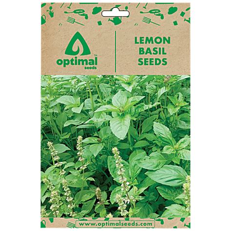 Buy Optimal Seeds Lemon Basil Herb Seeds Online At Best Price Of Rs 179