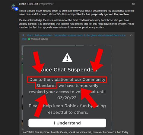 Huge Voice Chat Moderation Issue Engine Bugs Developer Forum Roblox