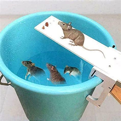 2X Mouse Trap Catch Rat Trap Catch Walk the Plank Humane Bucket Mice Auto Reset | eBay