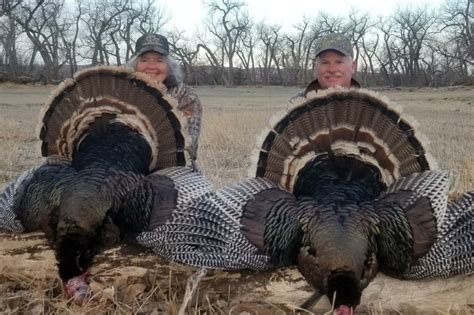 Minnesota Turkey Hunting And Minnesota Turkey Hunting Property Guides