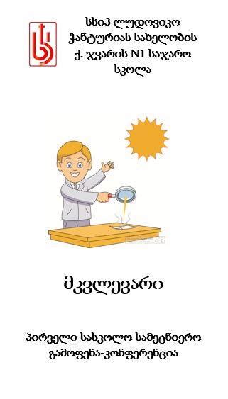 ქეთევან უბილავას პორტფოლიო კონფერენცია