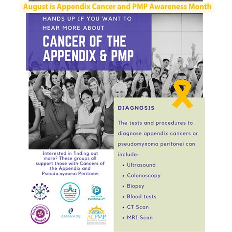 Goblet Cell Adenocarcinoma Appendix Cancer Support Home