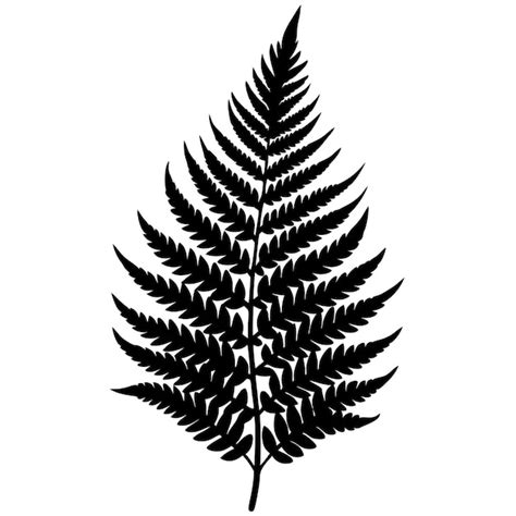 Fern Leaf Black Silhouette Vector Art And Illustration Premium Ai