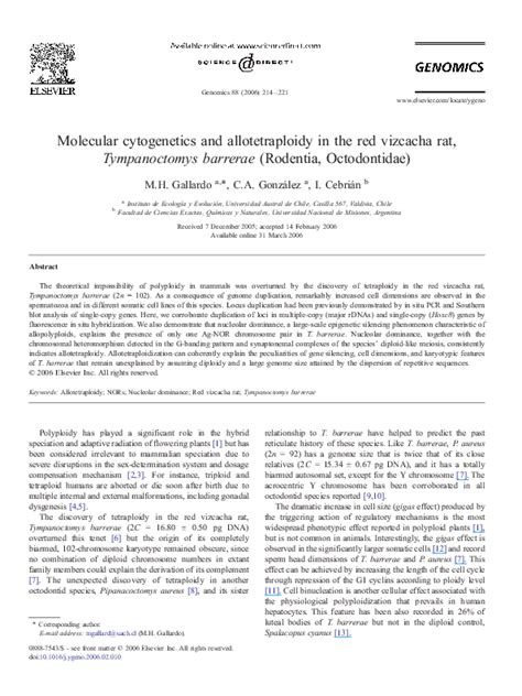 Pdf Molecular Cytogenetics And Allotetraploidy In The Red Vizcacha
