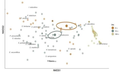Non Metric Multidimensional Scaling Plot K 2 Stress 0 08 Of