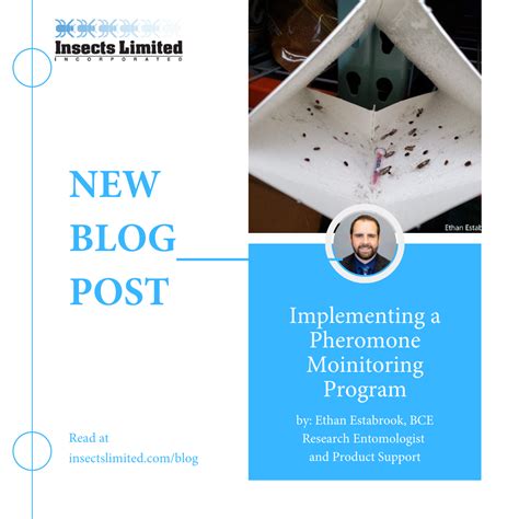 Implementing A Pheromone Monitoring Program — Insects Limited
