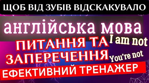 Ефективний тренажер 4 Запитання та заперечення англійською мовою Youtube