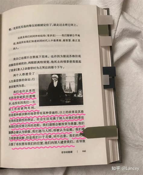 哲学的慰藉读后感 读书笔记 知乎