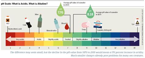 Sørensen And The pH Scale babezine Science