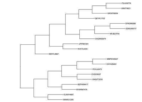 Leaf Annotation Iphylo Tutorial