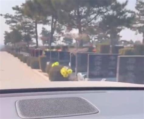 汽车雷达在无人陵园显示全是人 理想回应后续会优化 搜狐汽车 搜狐网