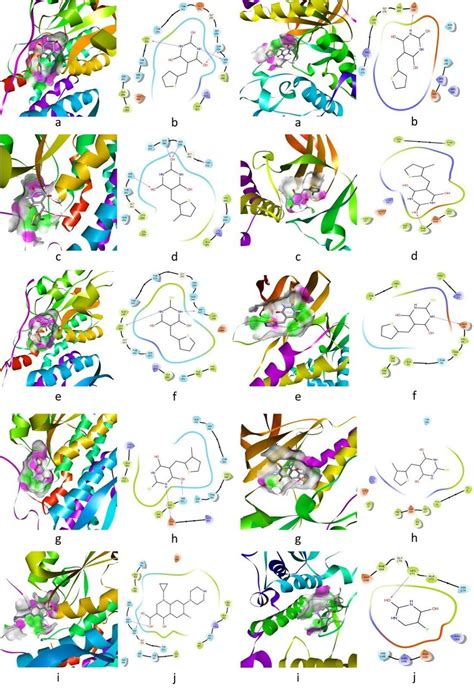 Binding Interaction Of Compounds 3a Aandb 3b Candd 3c Eandf And 3d