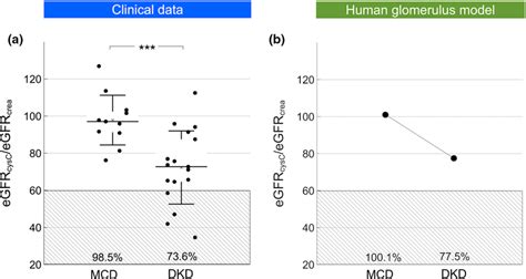 A Estimated Gfr From Cystatin C And Creatinine Ratio In Patients With Download Scientific