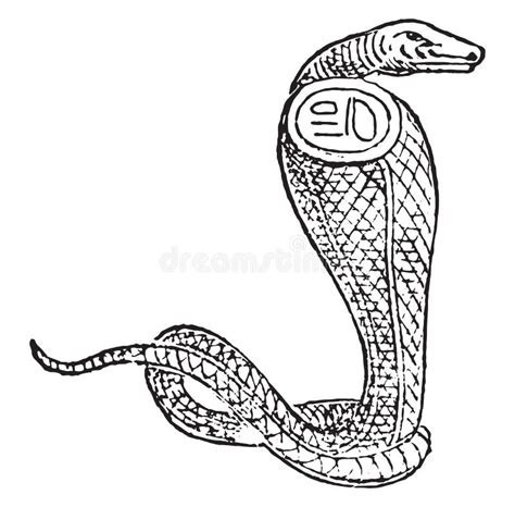 Egyptian Jewelry Vintage Engraving Stock Vector Illustration Of