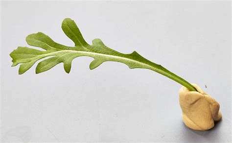 Шашлык on Behance