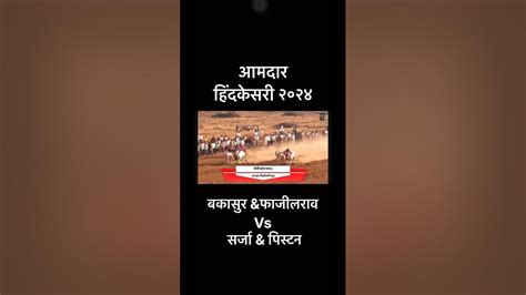 बकासुर आणि फाजीलराव सेमी पास 🏻bailgadasharyat बैलगाडा Bakasur