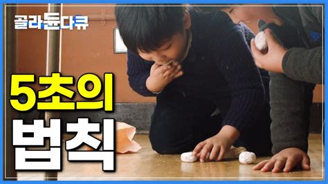 땅에 떨어진 음식 5초 안에 주워먹으면 정말 괜찮을까┃그런데 5초안에 일어난 충격적 결과┃다큐프라임 먼지┃골라듄다큐 Youtube