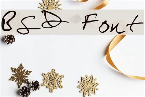 Bsd Font