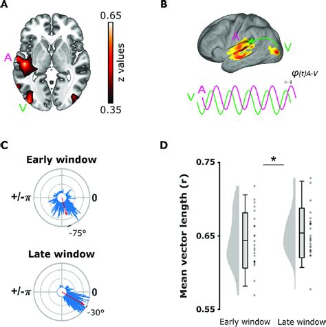 Theta Phase Coupling Analysis Between Visual And Auditory Areas During