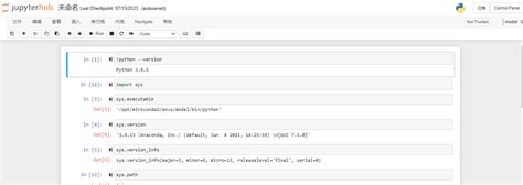 Python Using Jupyterhub Jupyterhub In Docker Hub Get Error Stack