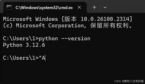 Vscode中配置python环境vscode设置python运行环境 Csdn博客