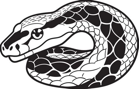 Pythons Silent Elegance A Comprehensive Depiction Of Serpents Stealth