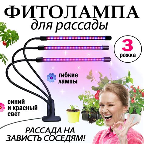 Фитолампа для растений полный спектр 3 светильника Лампа для цветов Фитосветильник купить