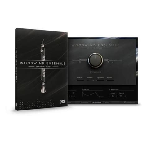 Native Instruments Symphony Series String Ensemble At Amber Rosenzweig Blog