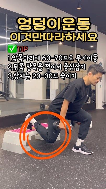 효과좋은 엉덩이운동 런지 스프릿스쿼트 하체운동 힙업운동 Youtube