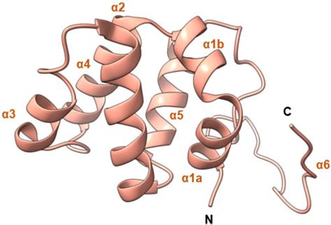 Frontiers Recent Advances In The Development Of RIPK2 Modulators For